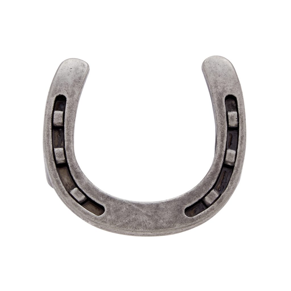 Horseshoe Shaped Piece Of Hardware